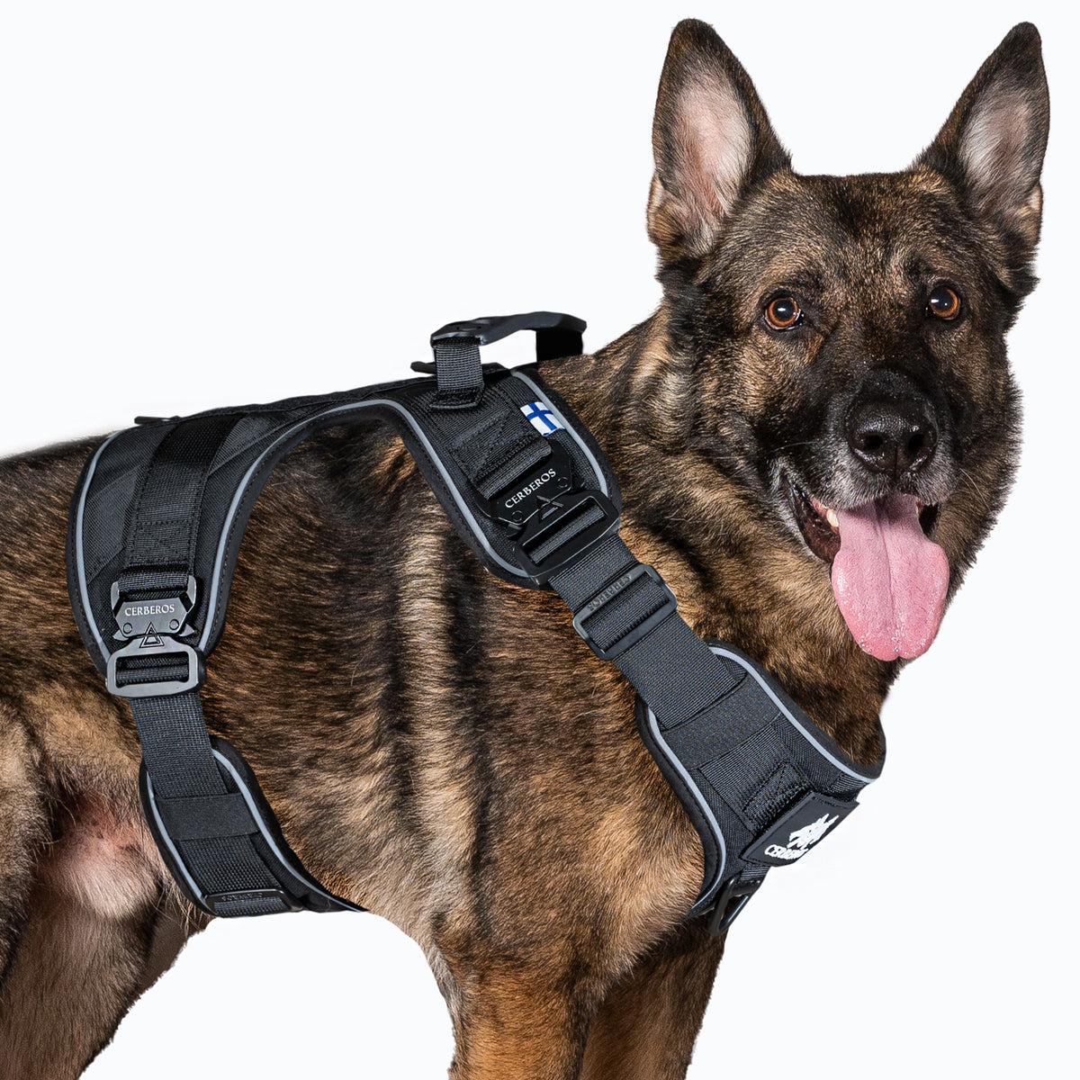 Cerberos Active Harness Night Black – Cerberos Finland